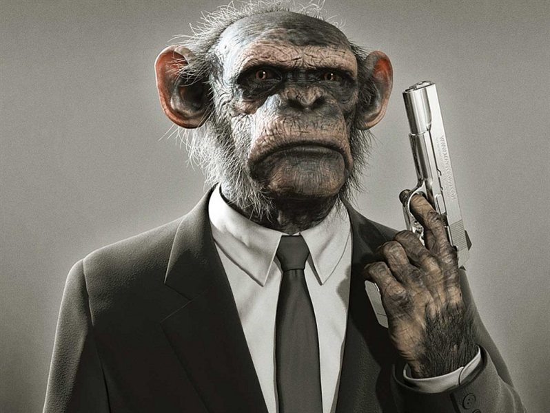 Radio 1 - Kdo je tu majmun?!