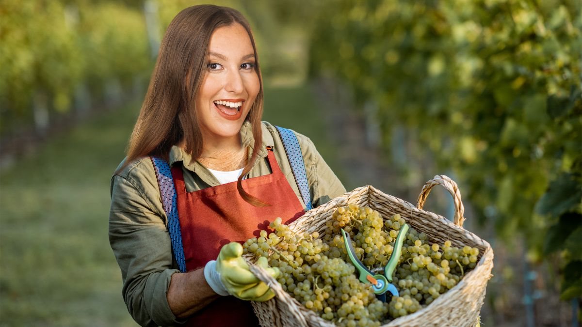 Pripravnica Lara gre na TRGATEV!