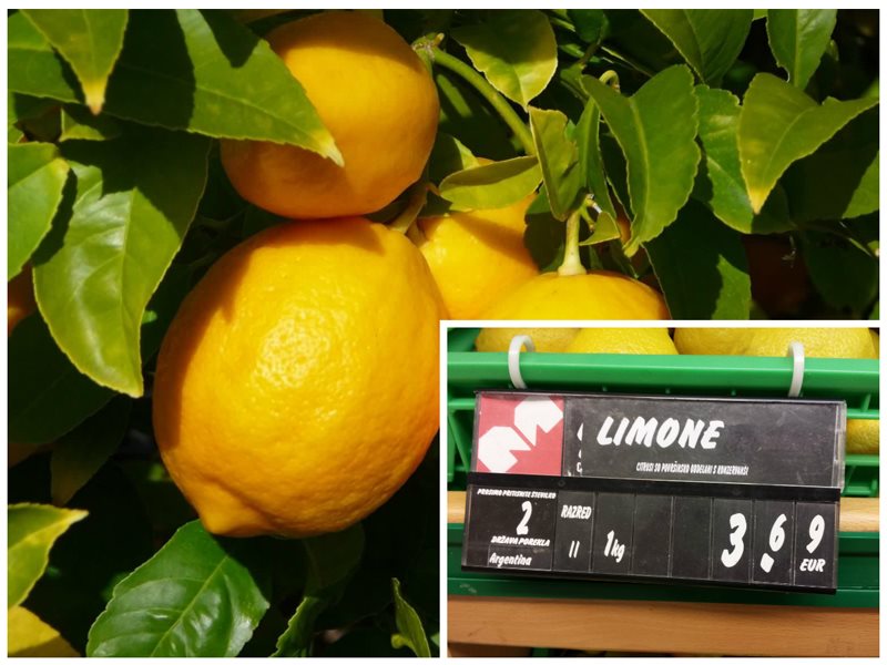 Limonska kriza - v trgovinah kar dvakrat dražje!