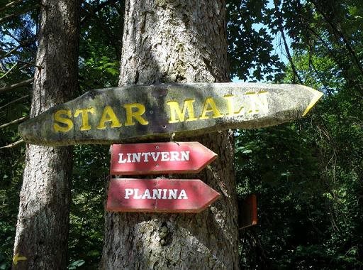 Cankar v Starem malnu na Prešernov dan