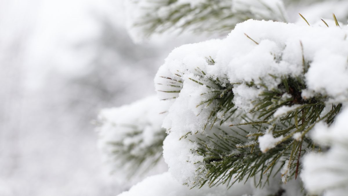 Slovenijo zajel prvi sneg te jeseni: TO so zadnje napovedi!