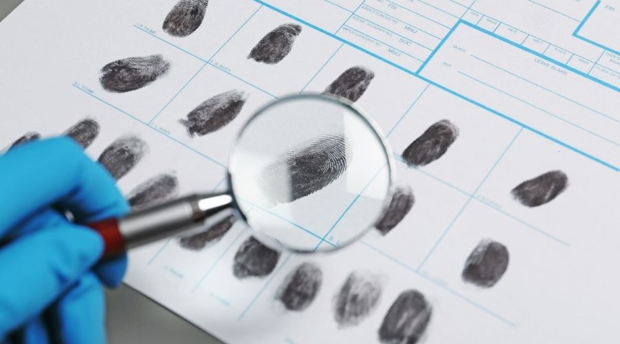 Kriminalisti so te dni imeli hišne preiskave: Na spisku 21 osumljenih