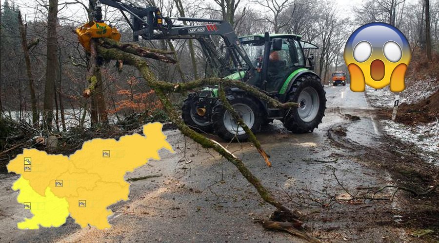 Veter po Sloveniji PODIRA DREVESA, skoraj 3 tisoč Slovencev začasno ...